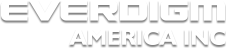 EVERDIGM AMERICA INC
